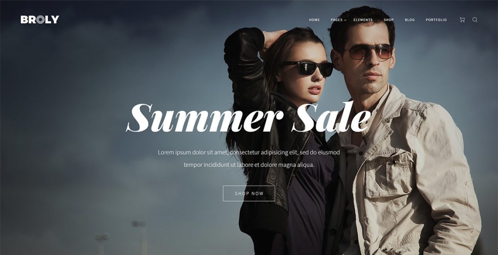 broly shop wordpress theme - Noramco